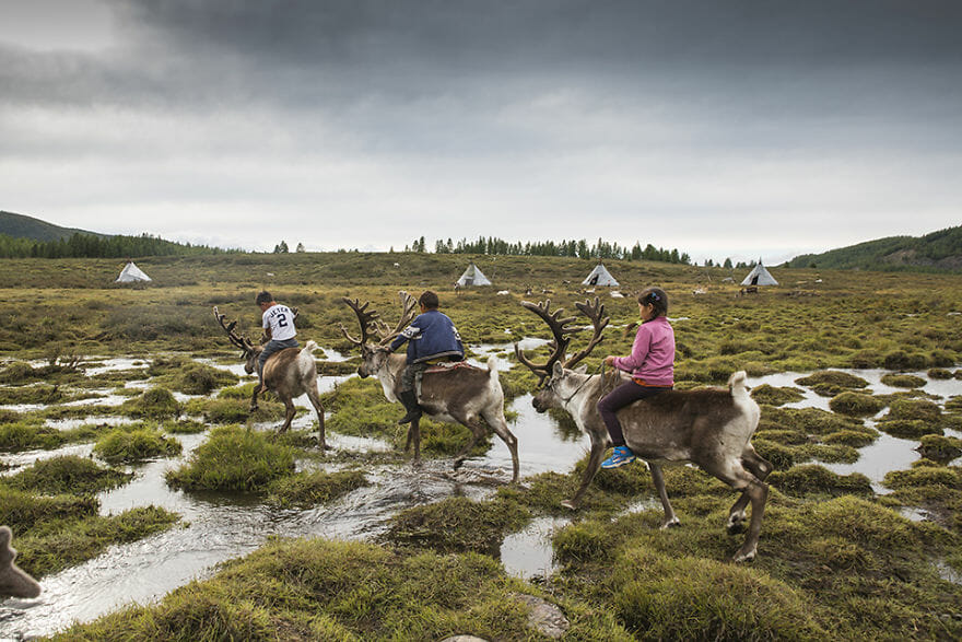 Casamento indígena na taiga selvagem da Mongólia é fotografado ...