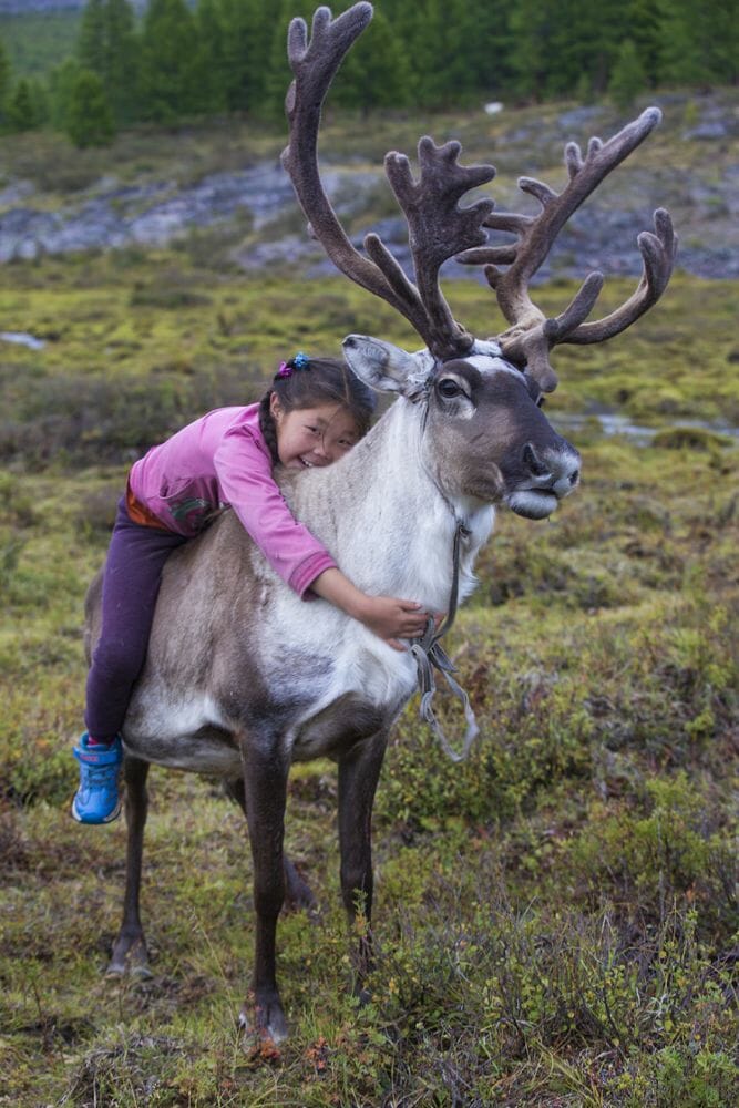Casamento indígena na taiga selvagem da Mongólia é fotografado ...